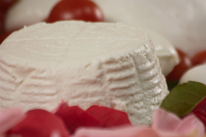 Ricotta